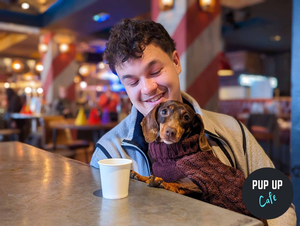 Pup Up Cafe | A sausage dog cafe with hundreds of cute dachshund ...