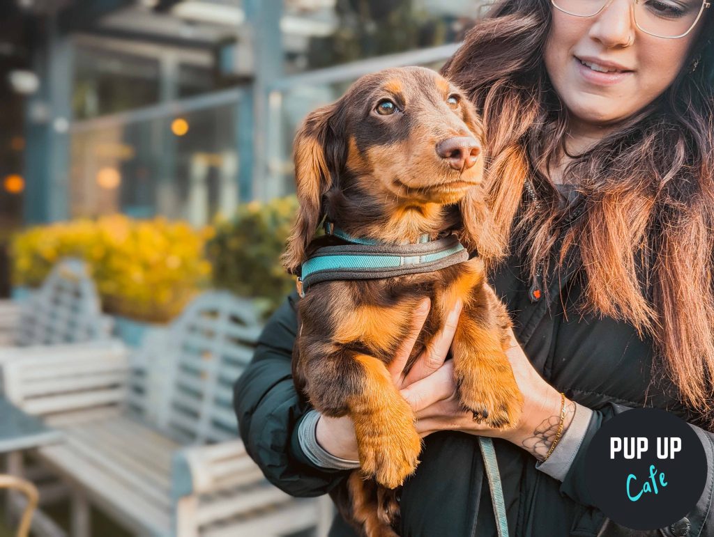 Pup Up Cafe | Pup Up Cafe returns to Birmingham