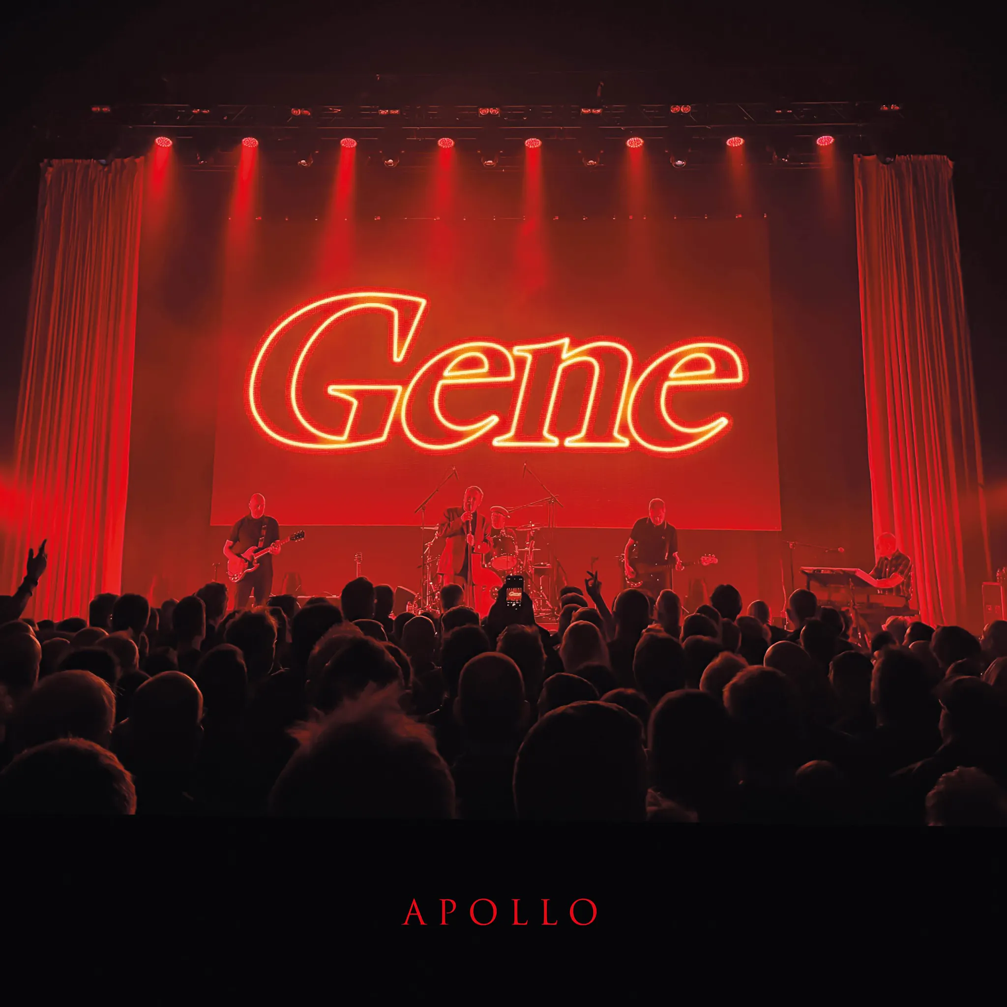 News | Gene Band